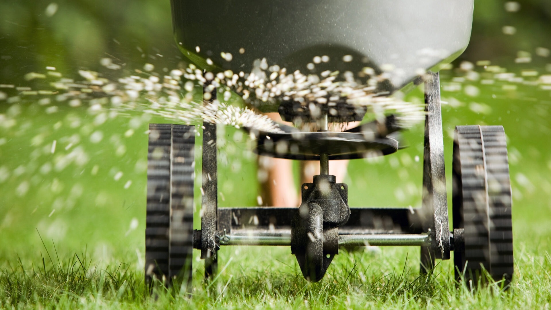 Don’t let fertilizer make you green with envy - Garden Style San Antonio