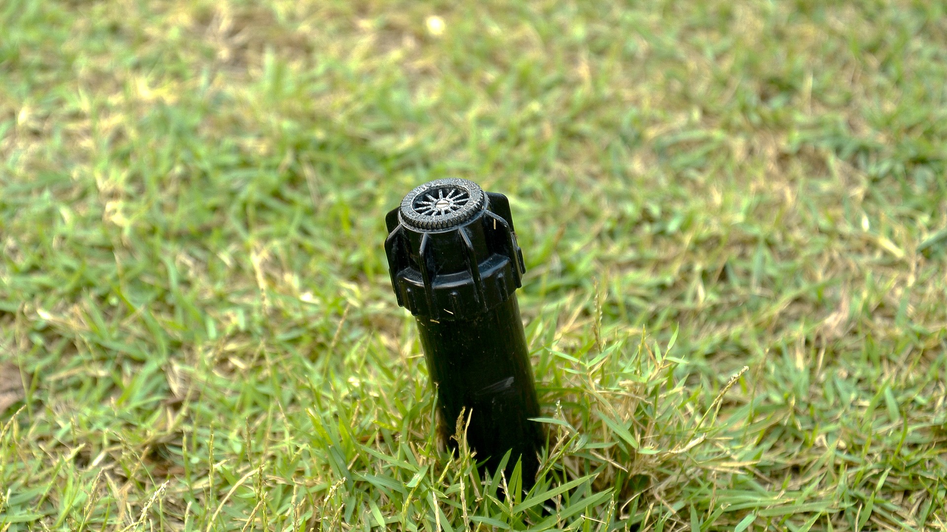 Let your sprinklers slumber: we're still in Stage 3 - Garden Style San ...