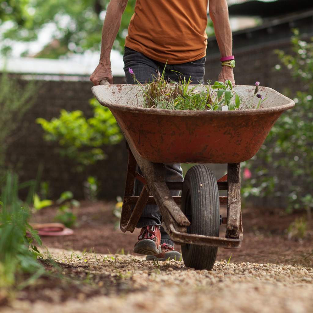 Your October gardening to-do list - Garden Style San Antonio