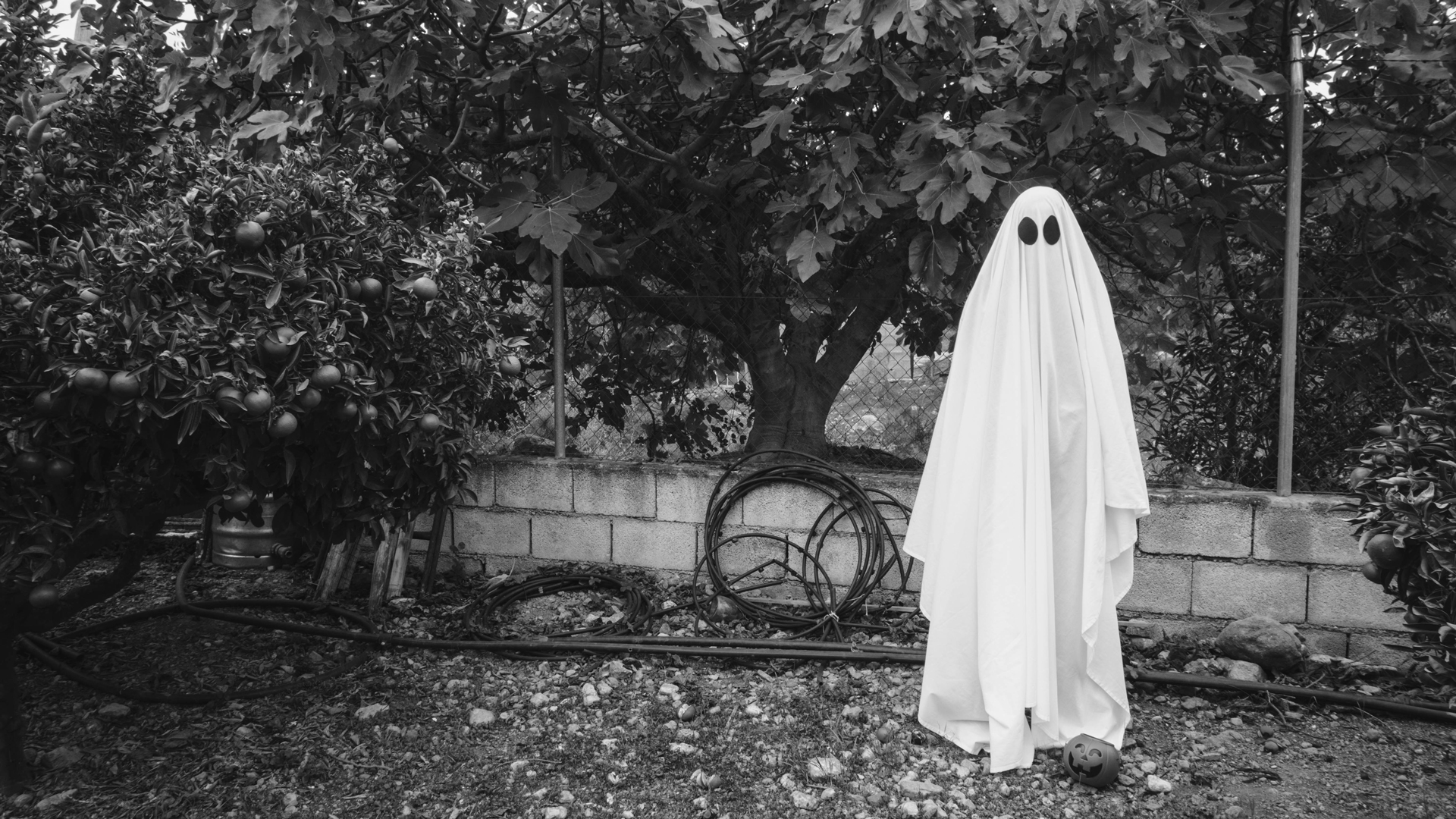 Evil Deeds Dwellers Do Garden Style San Antonio evil-deeds-dwellers-do-garden-style-san-antonio