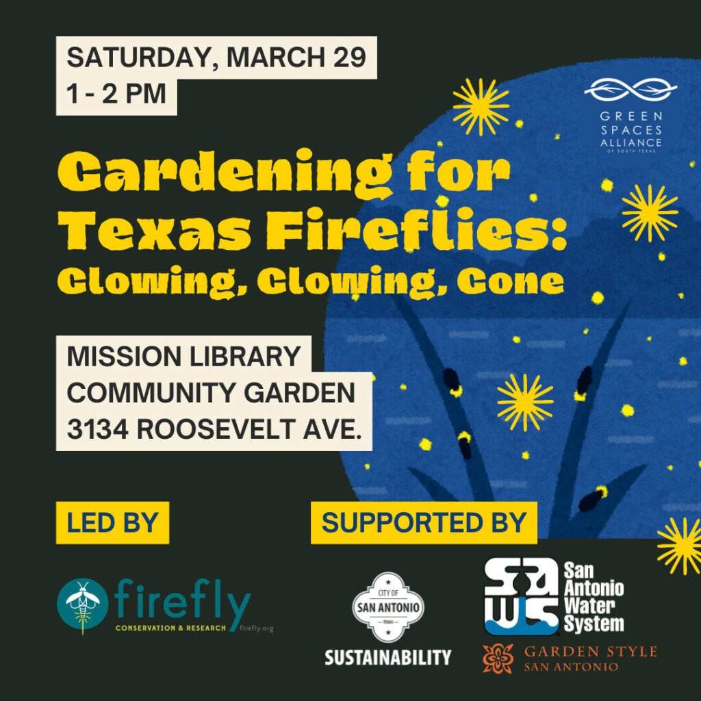 Gardening for Texas Fireflies: Glowing, Glowing, Gone - Garden Style ...