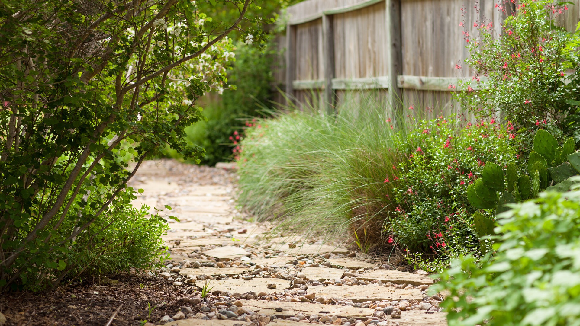 Cottagecore gardening: A pollinator friendly haven with native ...